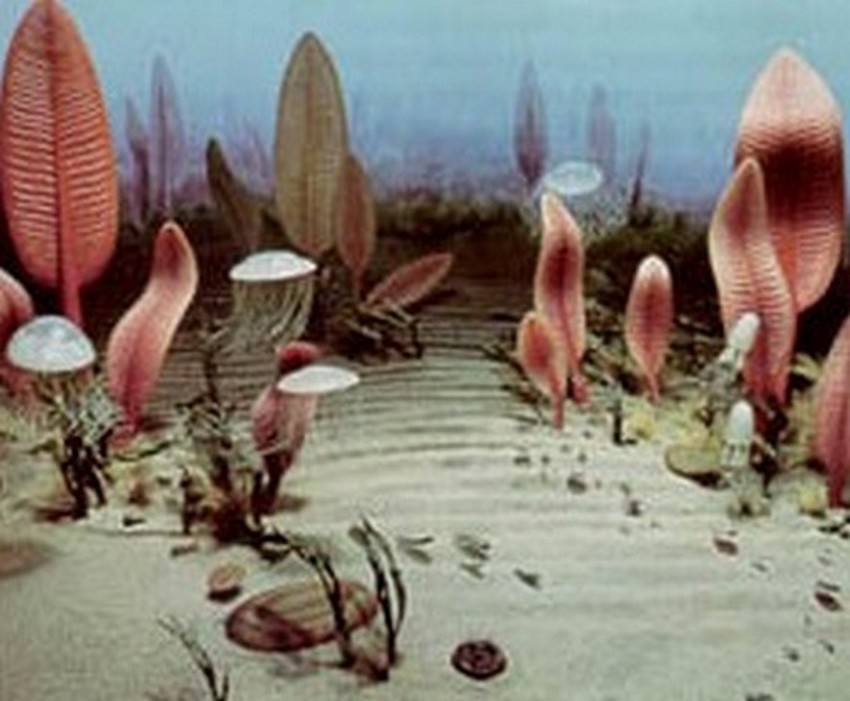 ASE . Terre: Conférence . Terre . n°1 : Le Précambrien