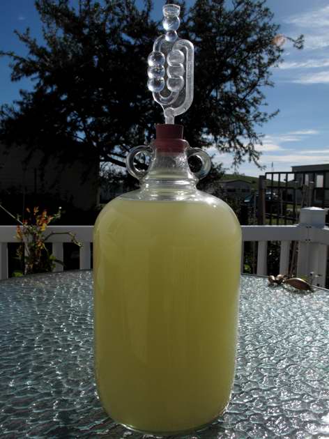 Artofbrew: Cucumber Wine - Part 2