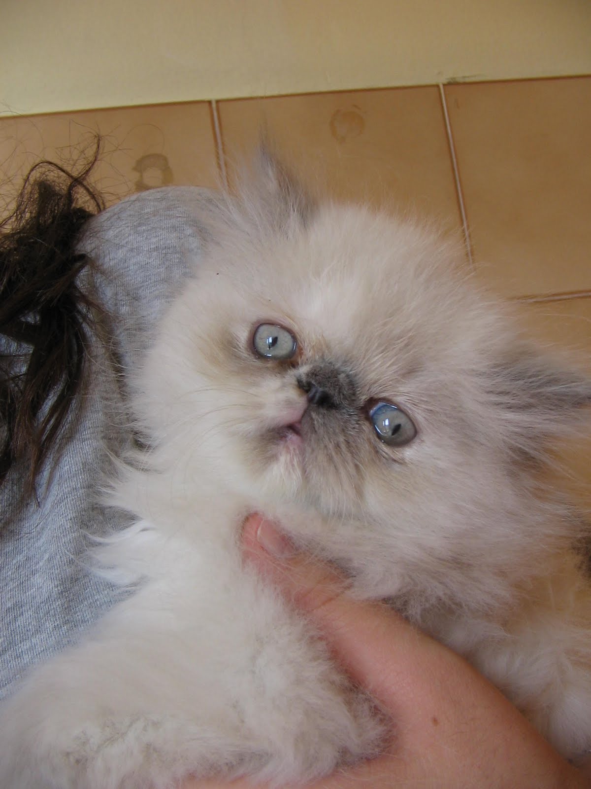 Mercury Drug Metathione Price