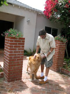 Steven Kalish Updates