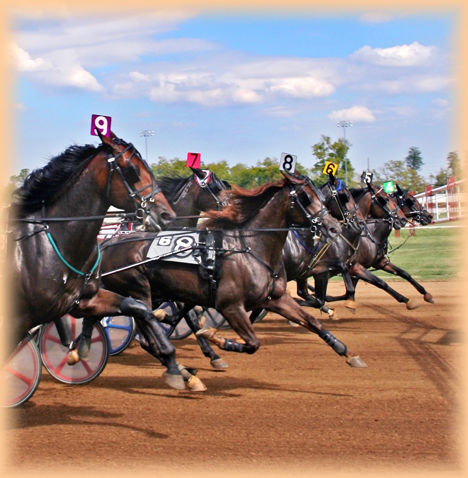 TwinSpires Blog: January 2011