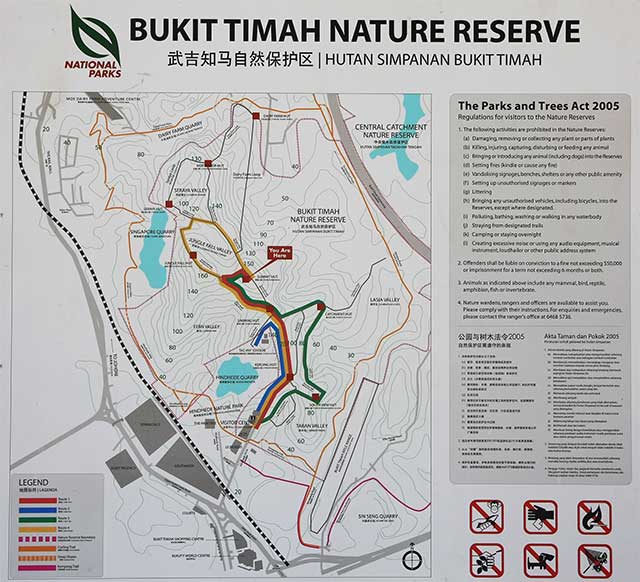 Bukit Timah Nature Reserve