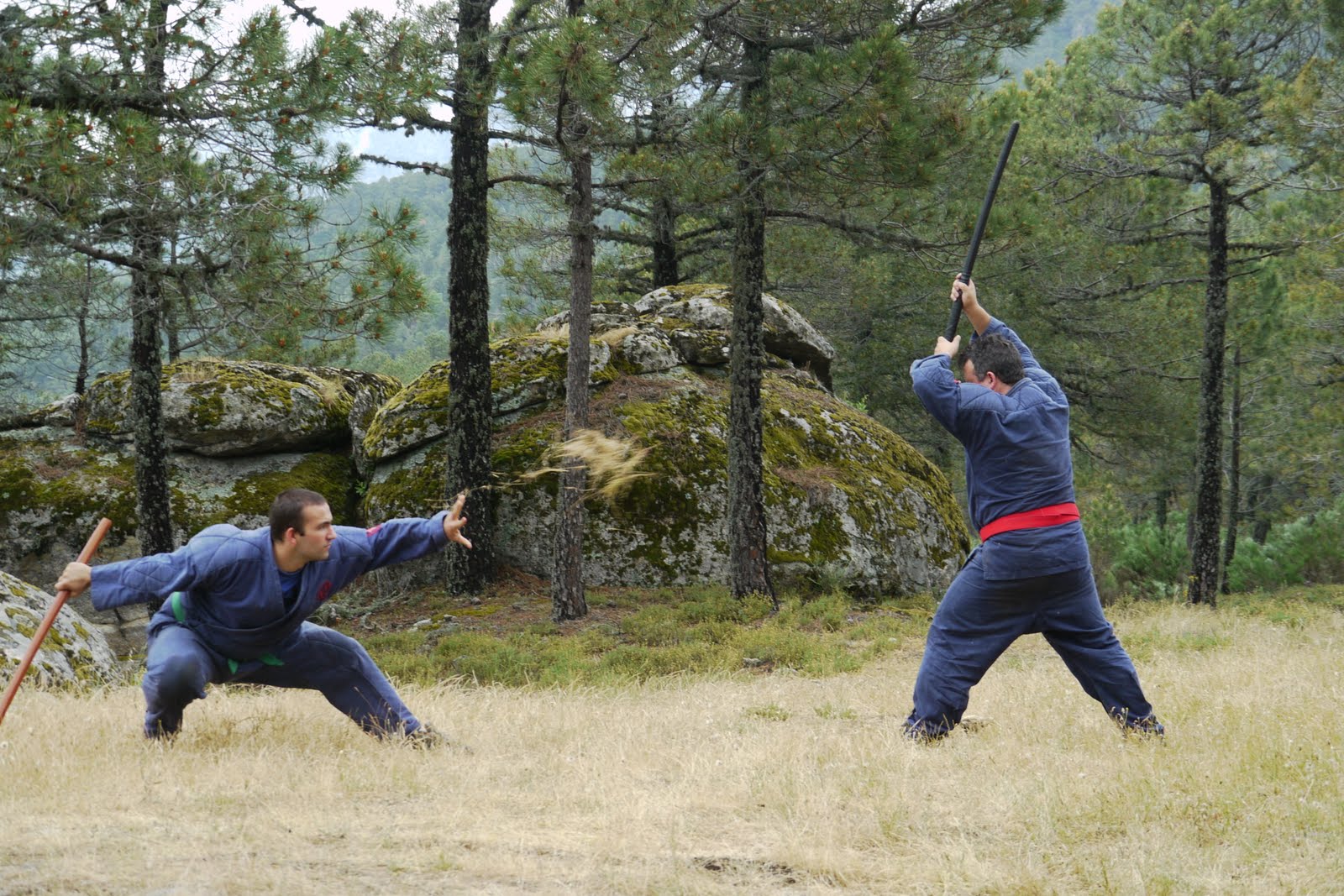 JAPAN NINJUTSU FEDERATION: Curso Junio JAPAN NINJUTSU