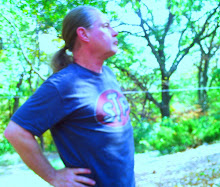 Living On the Ground: The STP Family