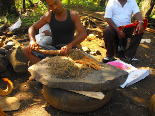 Pohnpei: Sakau en Pohnpei