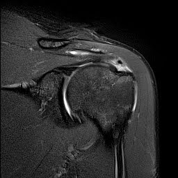 Radiology Cases: October 2009