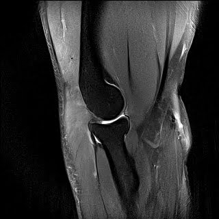 Radiology Cases: 2009