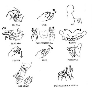 OTRA FORMA DE VER EL MUNDO: LSE: Lengua de Signos Española y sus barreras