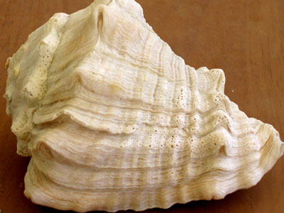 Explore: Creativity: Glue and Cloth: Research and Inspiration