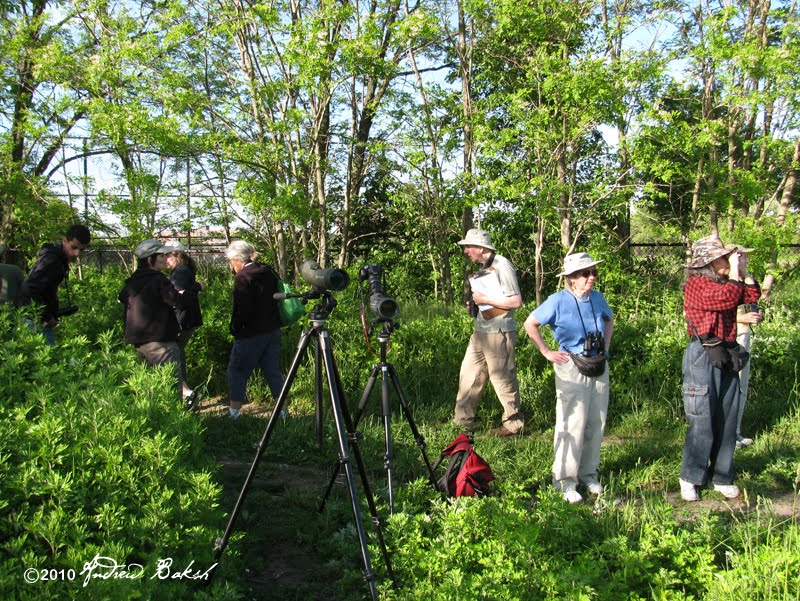 Birding Dude: Birding Big Day with the Urban Park Rangers...