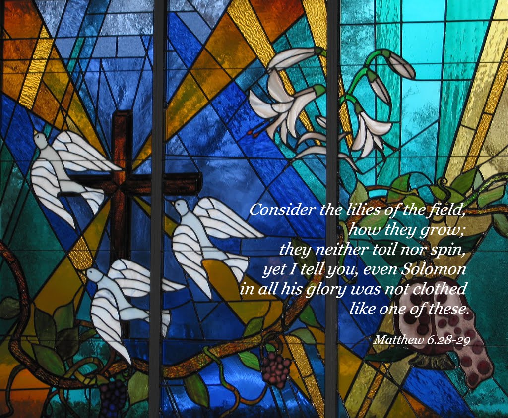 Rev Peep: Considering the Birds and the Lilies