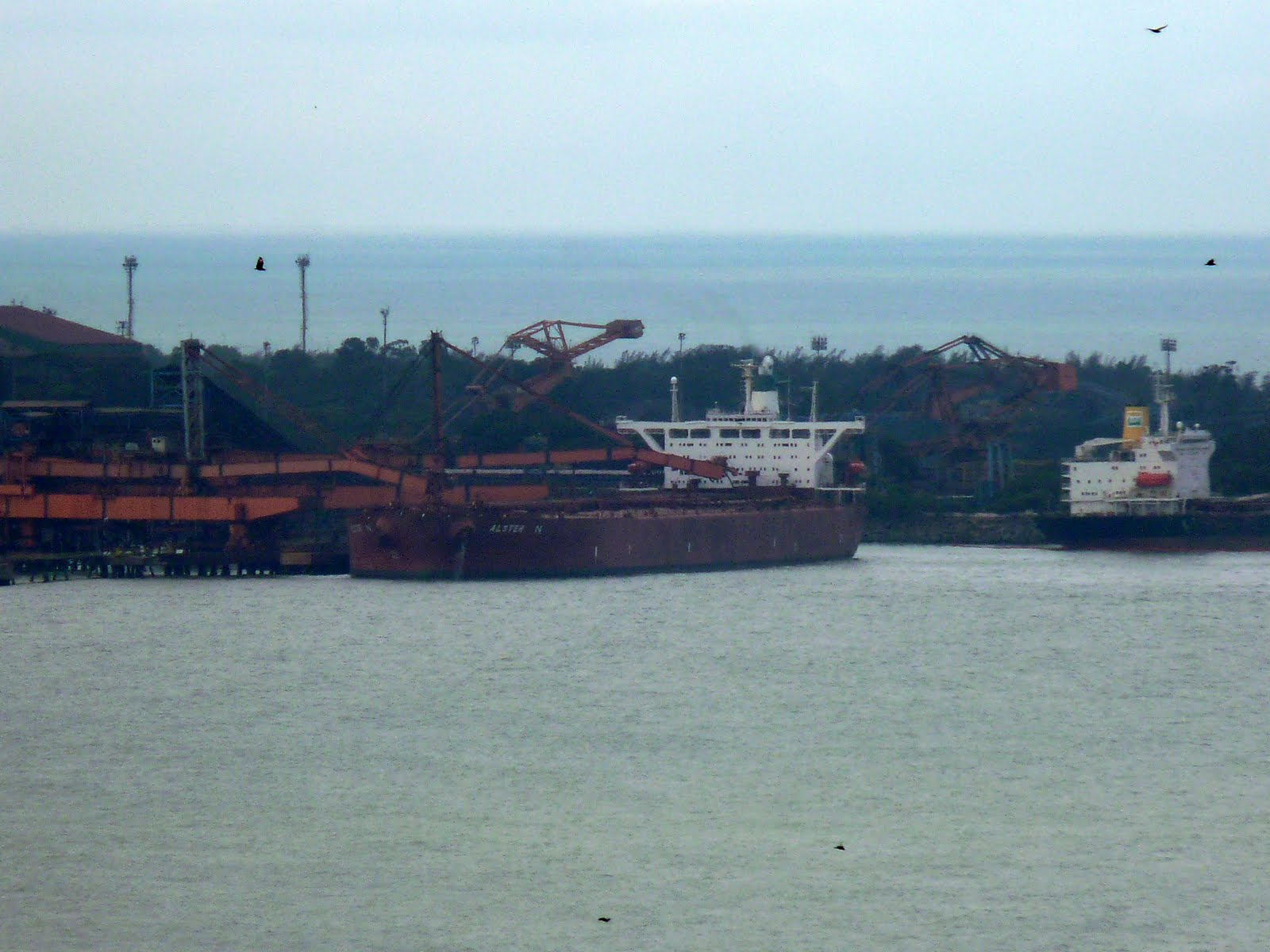 Ships calls Vitoria: Ore Carrier - Alster N in April 16/2010