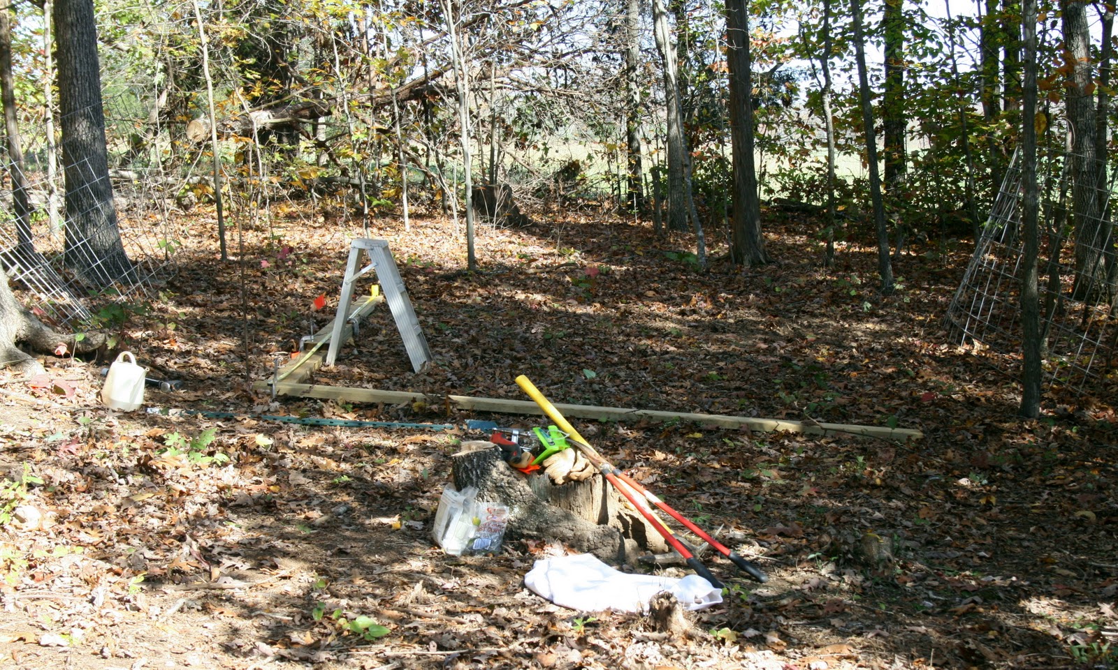 A Tiny Homestead: Cattle panel barn