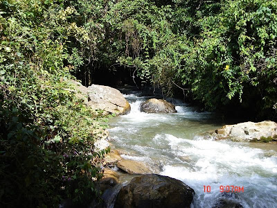 Felidia: Rio Felidia