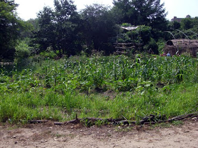 A Native American garden