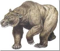 Aburrido o Aburrida?: El Oso Grolar Híbrido de Polar y Grizzly