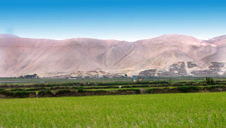 Peru, un viaje inolvidable: Camana y el valle de Quilca