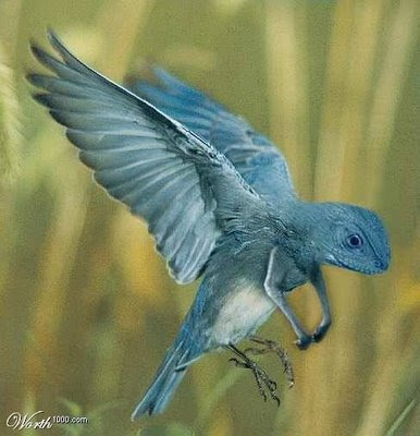 Kumpulan Artikel Aneh | Unik | Gokil | Extreme: INILAH Binatang Yang ...