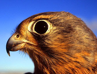 Geografia e Historia: Parque Nacional De Timanfaya