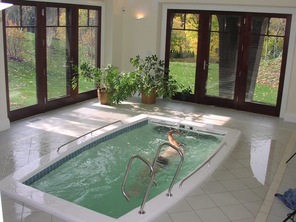 Swimjet Pools: SwimJet Swimming Machine