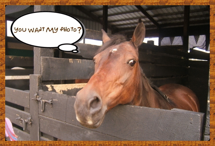 Learning and Teaching in the 21st Century: December 2007