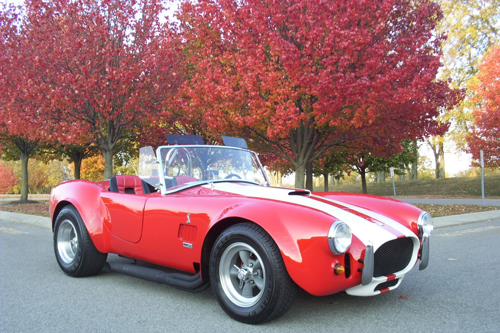 Shell Valley 1966 Cobra: Shell Valley 1966 Cobra