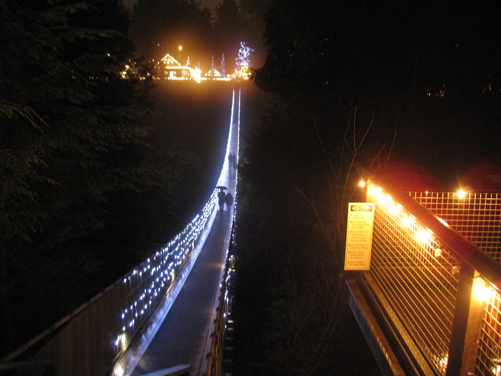 Running 42km: Canyon Lights At Capilano Suspension Bridge