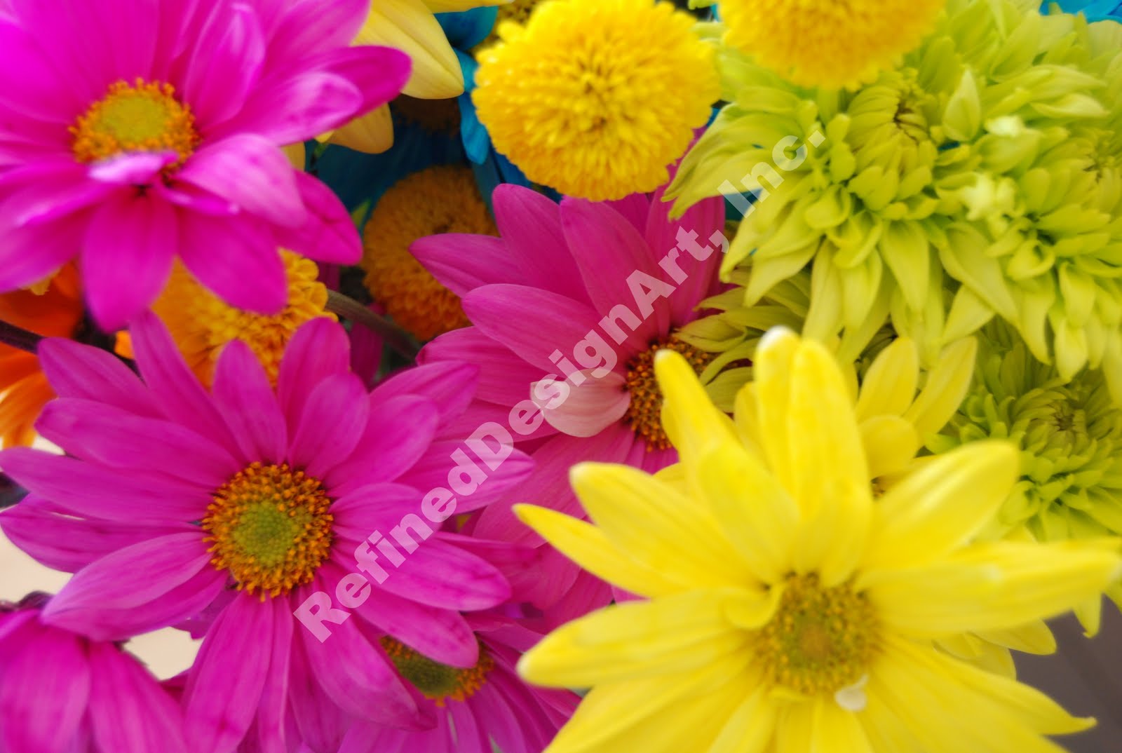 RefinedDesignArt: Flowers... Multi Colored