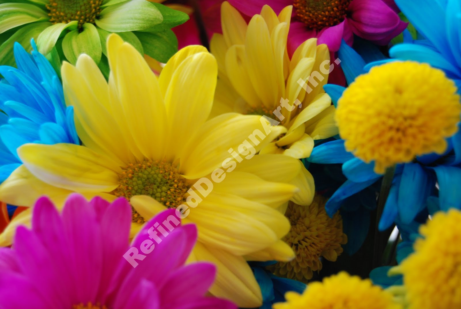 RefinedDesignArt: Flowers... Multi Colored