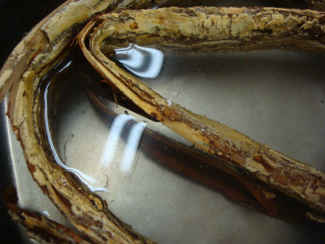 Two Red Threads: Bark Soup