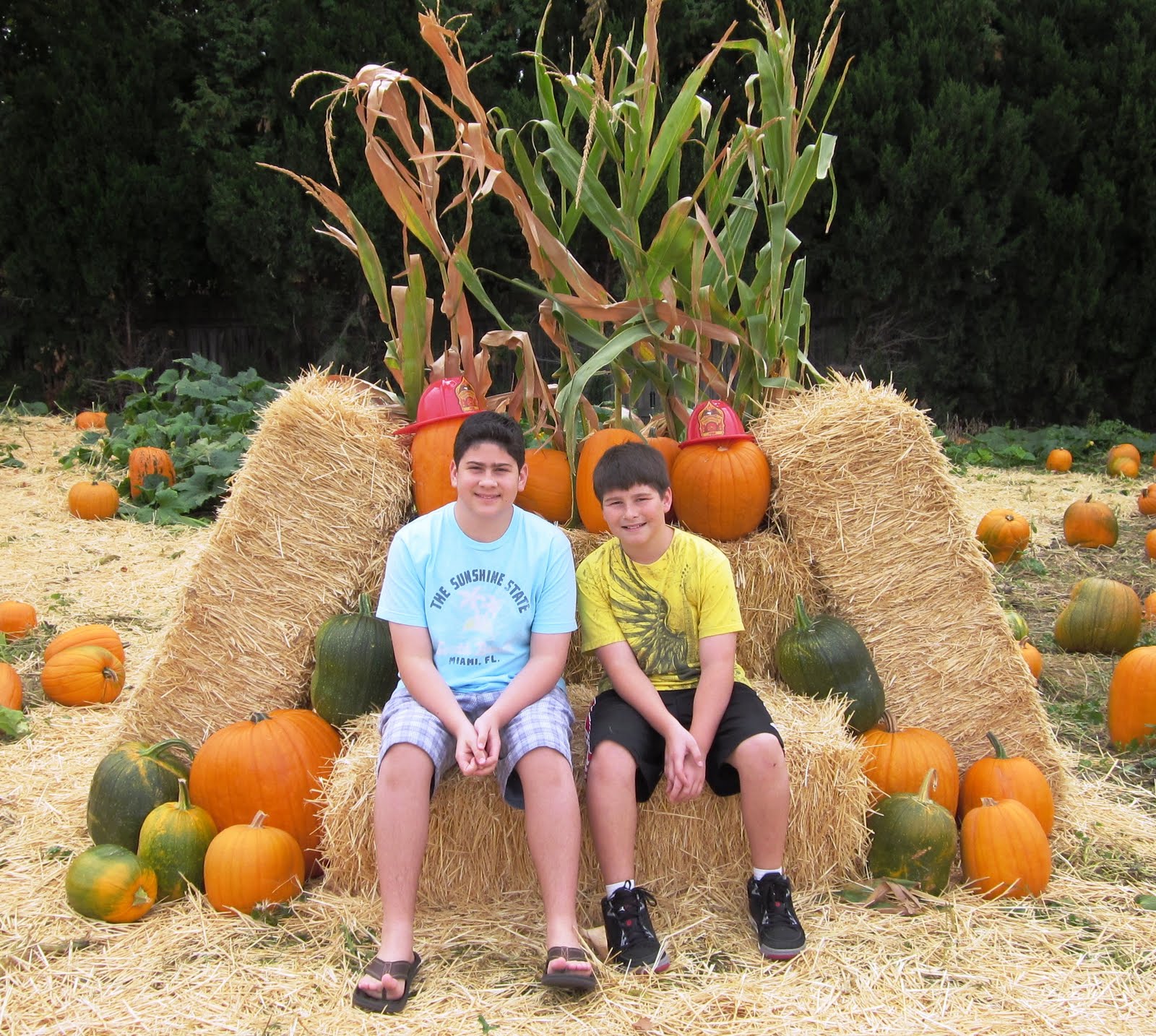 Inking Idaho Pumpkin Patch