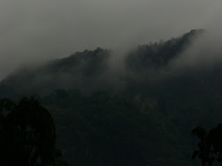 Natural beauty of sri lanka: Yatiyantota to Seaforth Colony Road ...