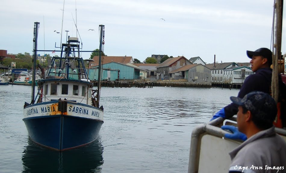 Cape Ann Images: A View From the Docks