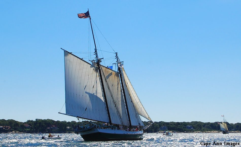 Cape Ann Images: Gloucester Schooner Festival...Parade of Sail 2010