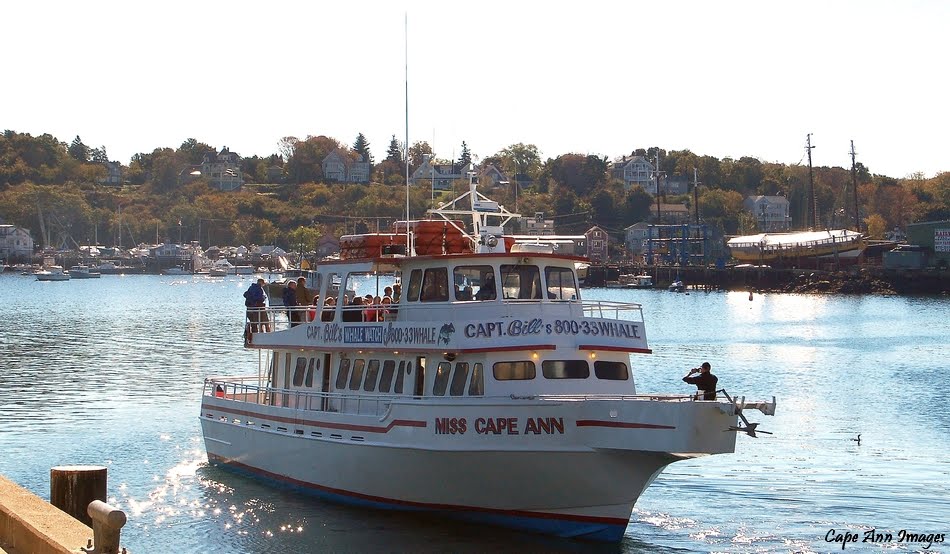 Cape Ann Images: Back On-Line