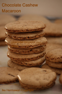 Welcome to my World : Chocolate Cashew Macaroon & Coconut Cashew Meringue