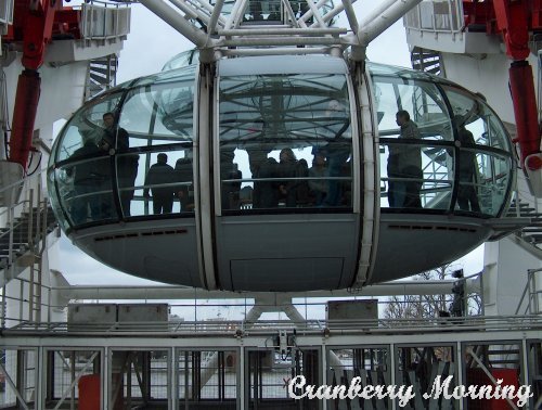 Cranberry Morning: London Eye Pods