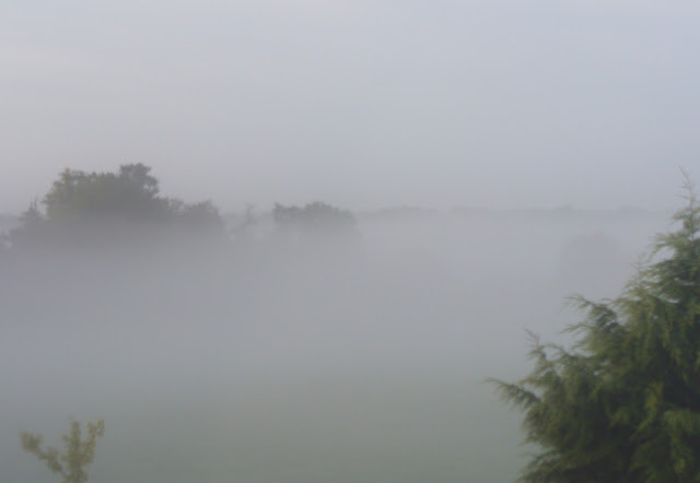 tasting rhubarb: October 2010