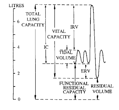 MedPCL01: Lung Function Test