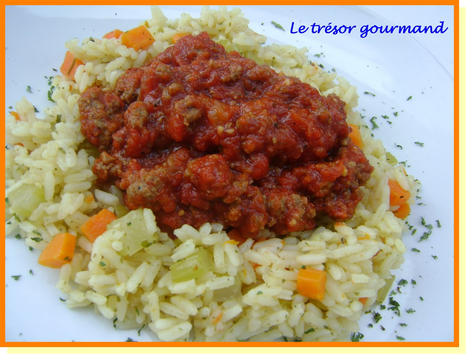 LE TRÉSOR GOURMAND: BOEUF HACHÉ DE LYLI