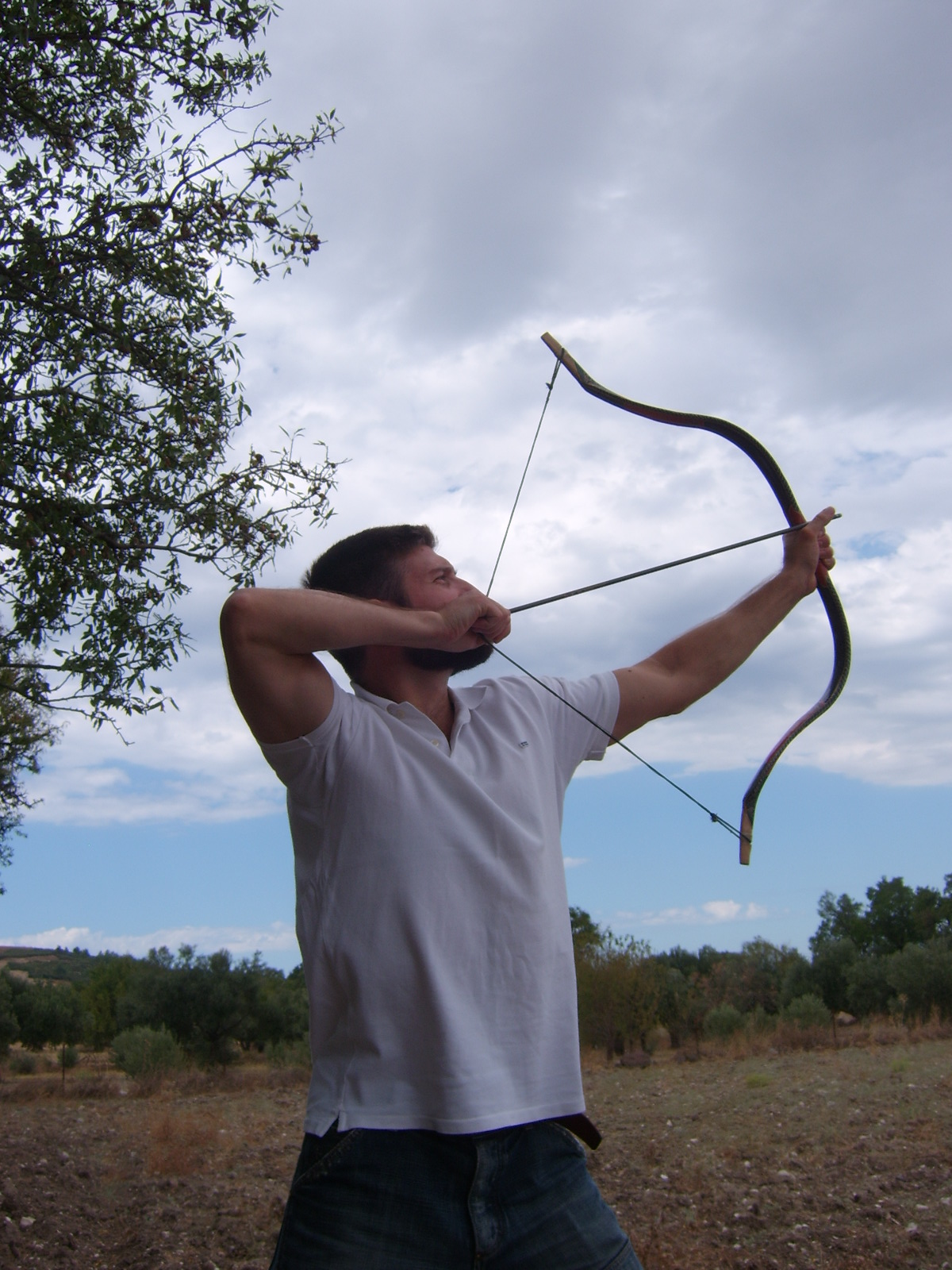 Turkish Flight Archery: November 2010Turkish Flight Archery Research ...