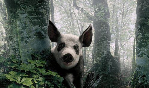 Piggy and Panda's Grand Tour