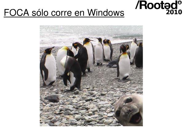 La FOCA en Linux [1 de 2]
