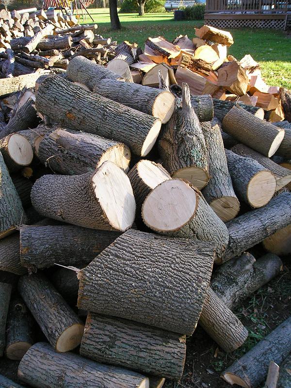 Ohio Woodburner OWB: Ash, The Firewood Of Kings