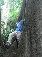 Adventures in Ghana: Butterfly Sanctuary and Bobiri Forest