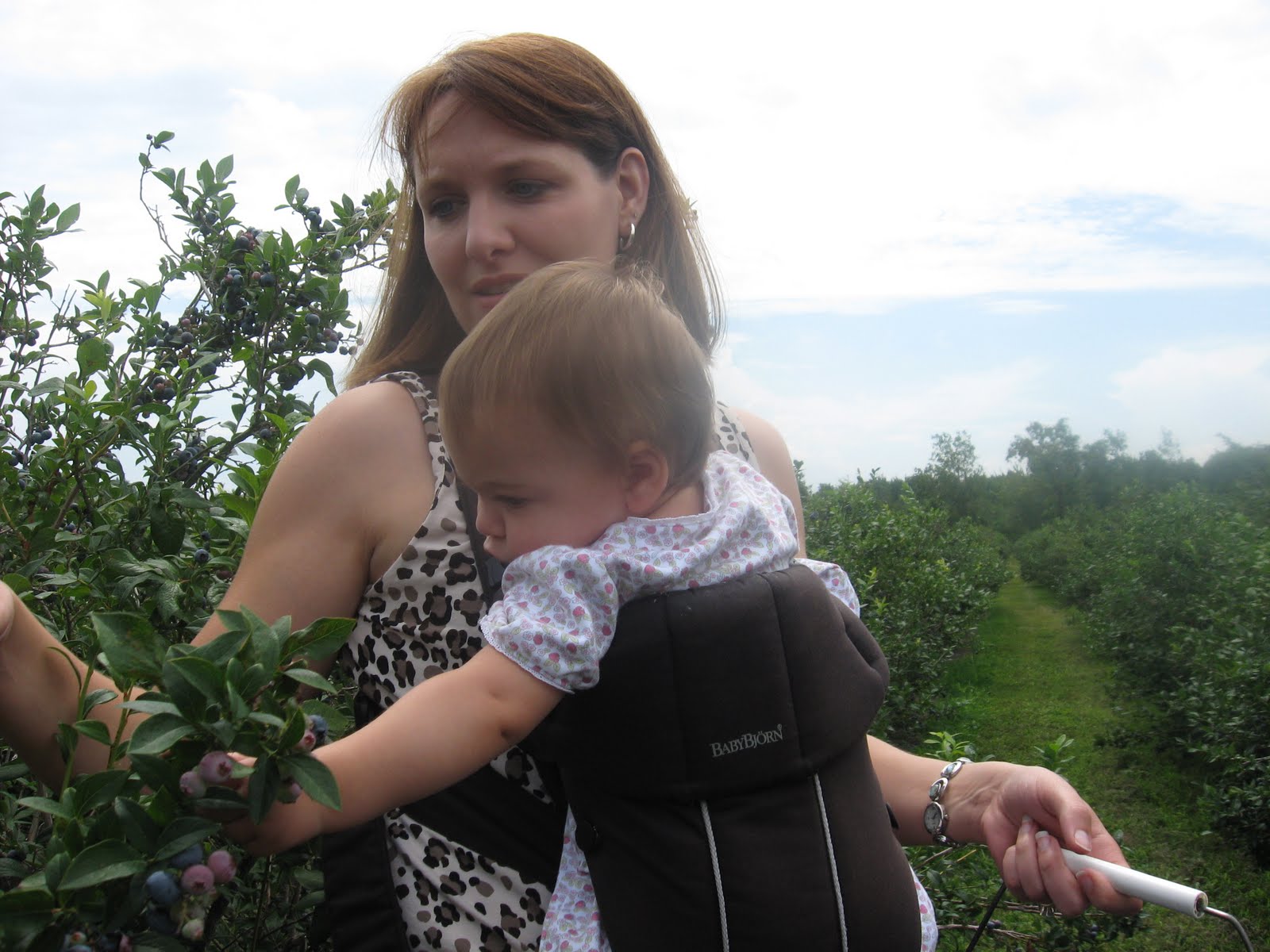 Mama Carson... Across the Pond and Back Again...: Blueberries for Lil ...