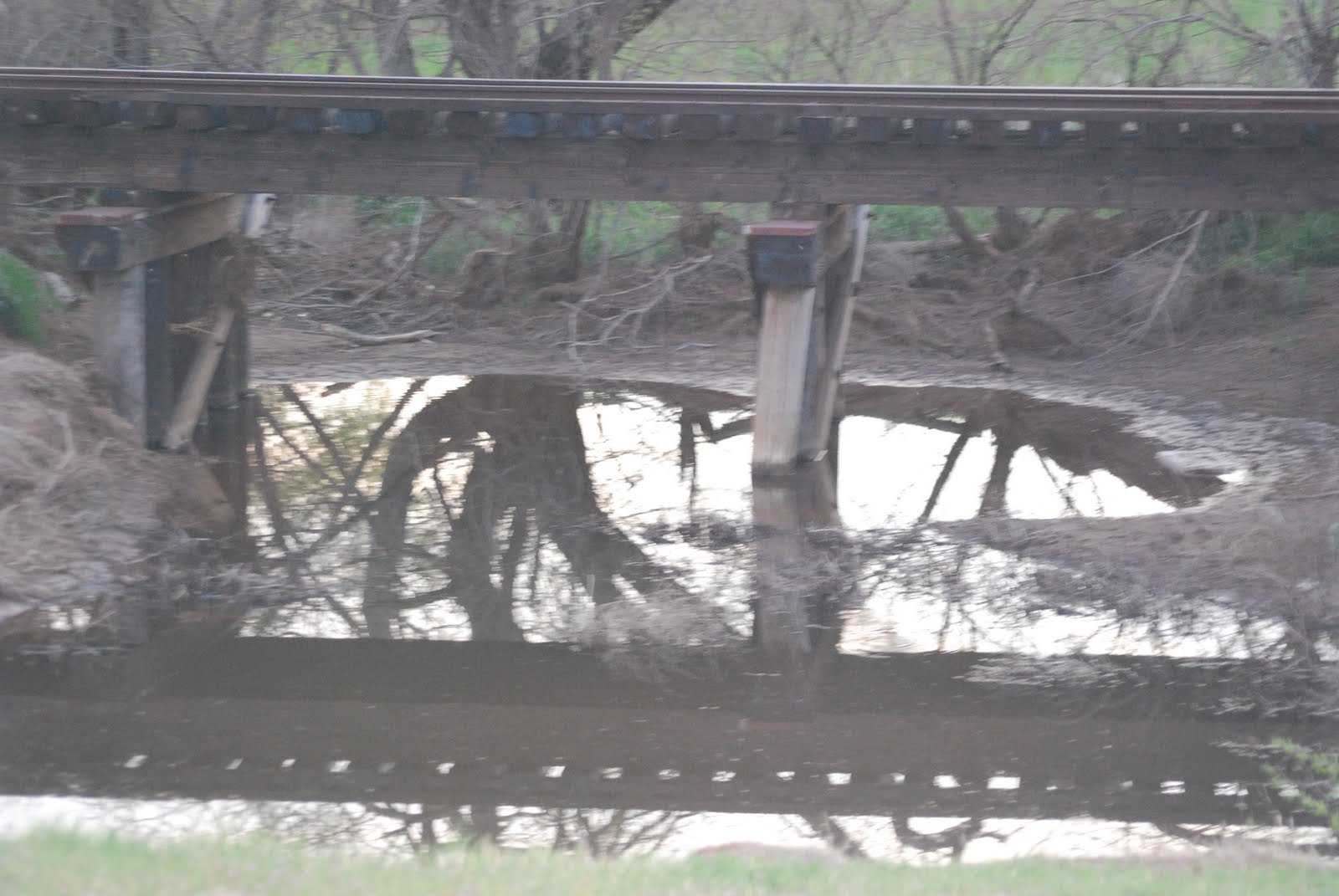 Shine Like Stars: God's Creation