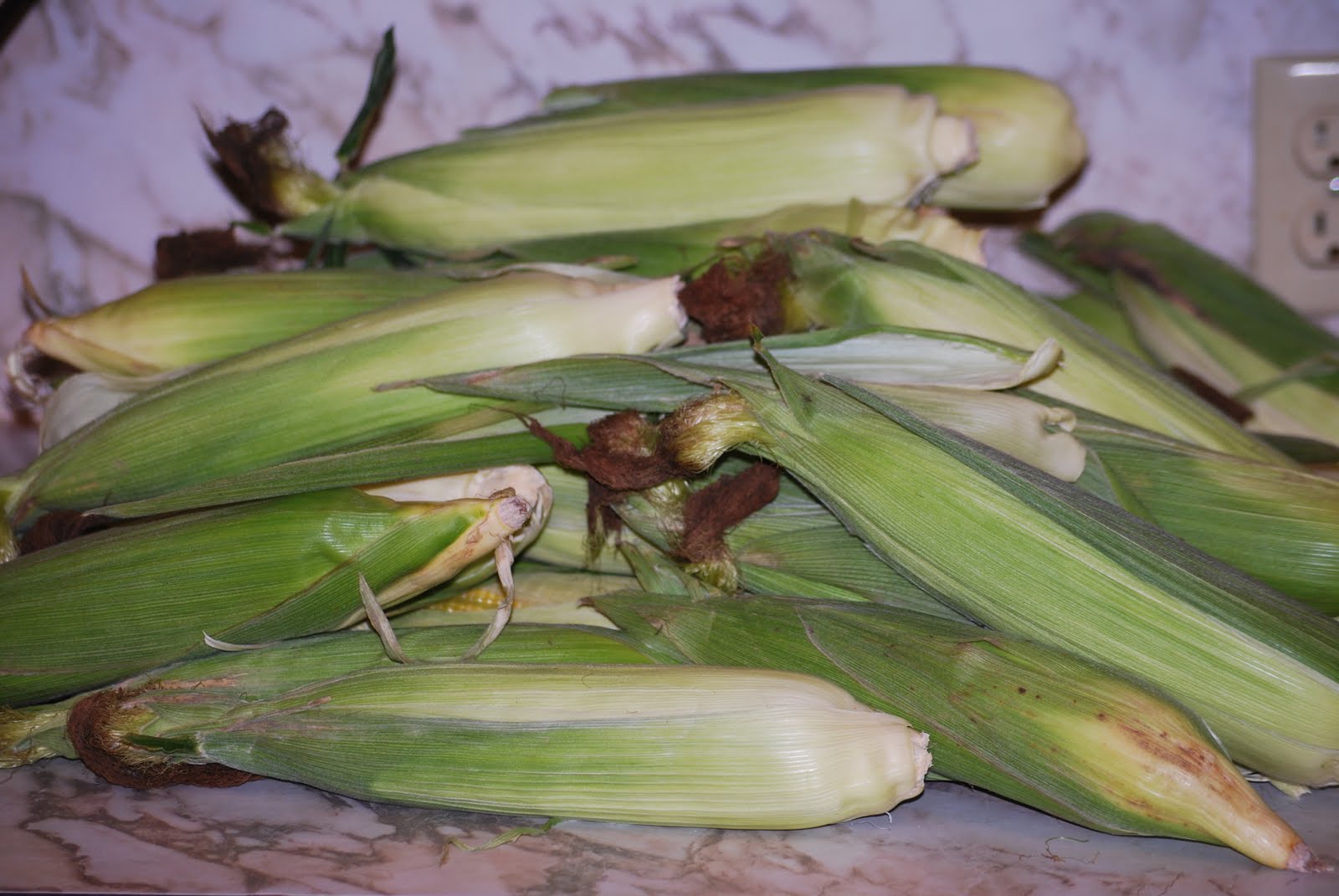 Life's a Bowl of Cherries: Freezing Fresh Corn on the Cob