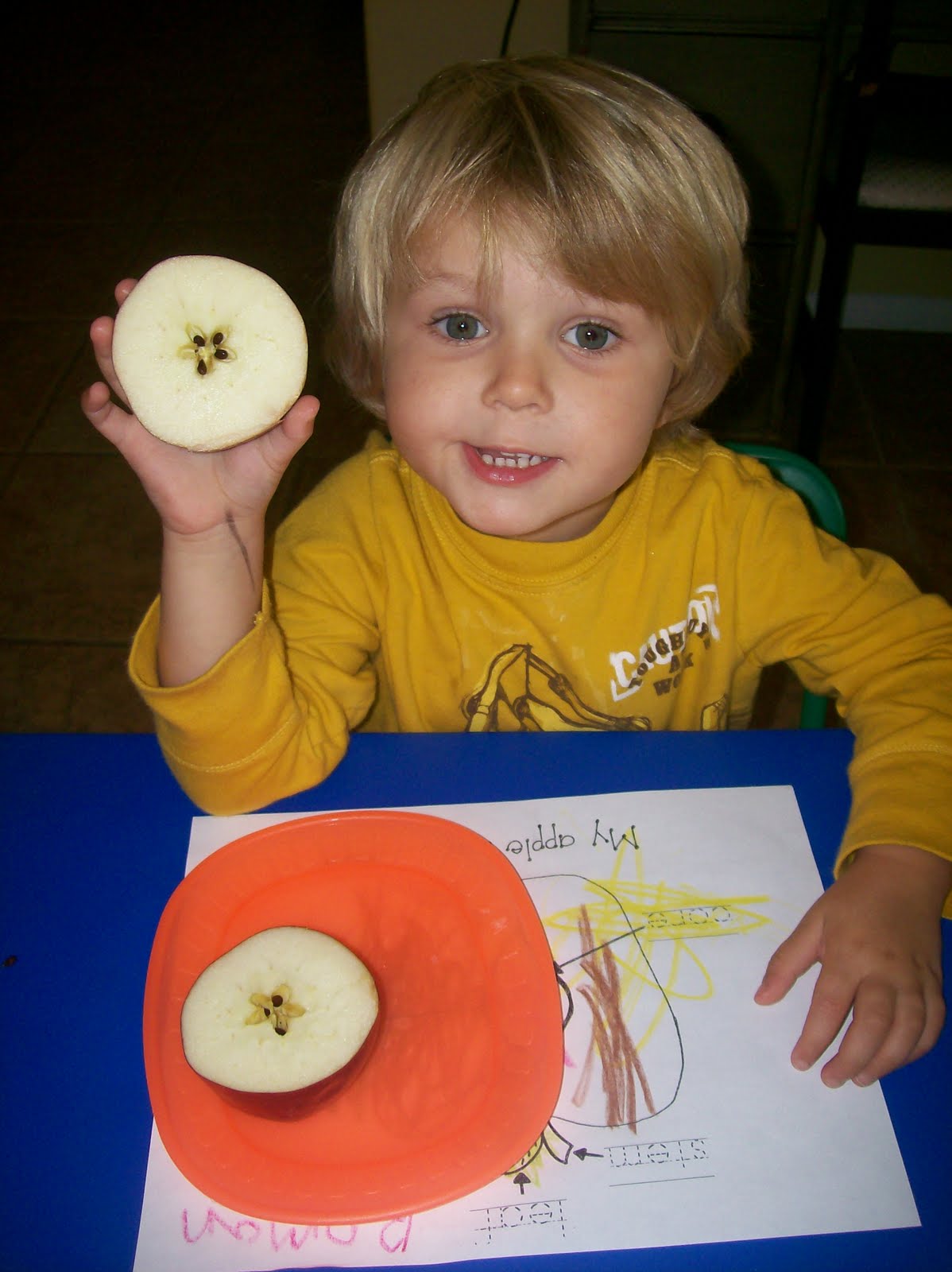 Fun at Preschool: The Star In The Apple