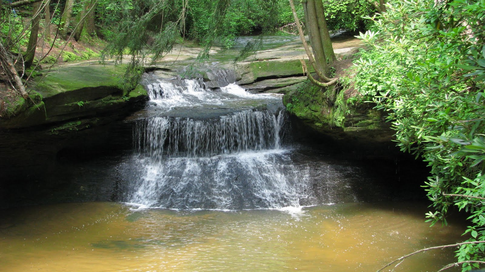 PL Fallin Photography: Creation Falls at Red River Gorge